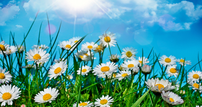 SOMMARTIDER! - Invacare Sweden